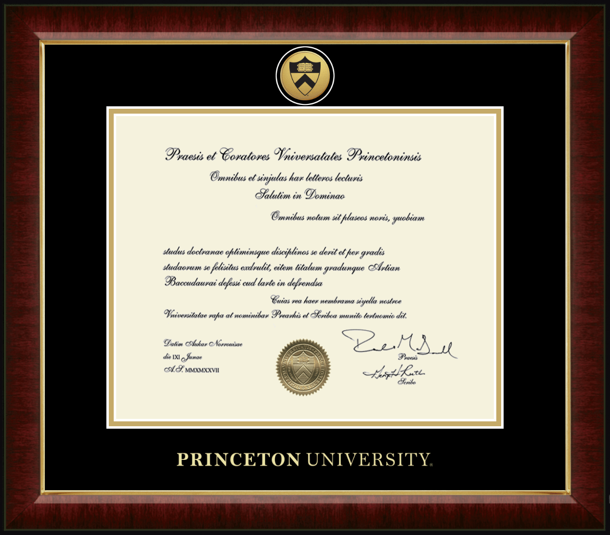 Princeton University Gold Engraved Medallion Diploma Frame in Murano ...