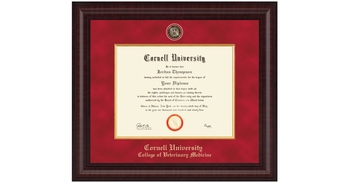 cornell diploma frame