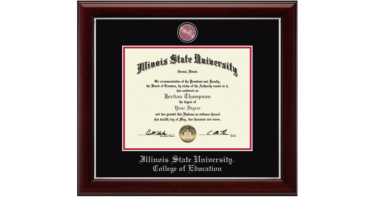 Masterpiece Medallion Diploma Frame in Gallery Silver Illinois State ...