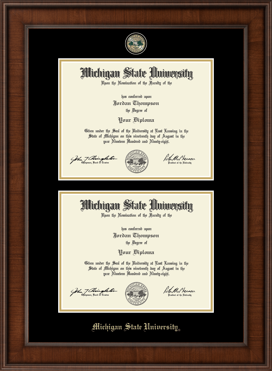 Michigan State University Double Diploma Masterpiece Medallion Frame in ...