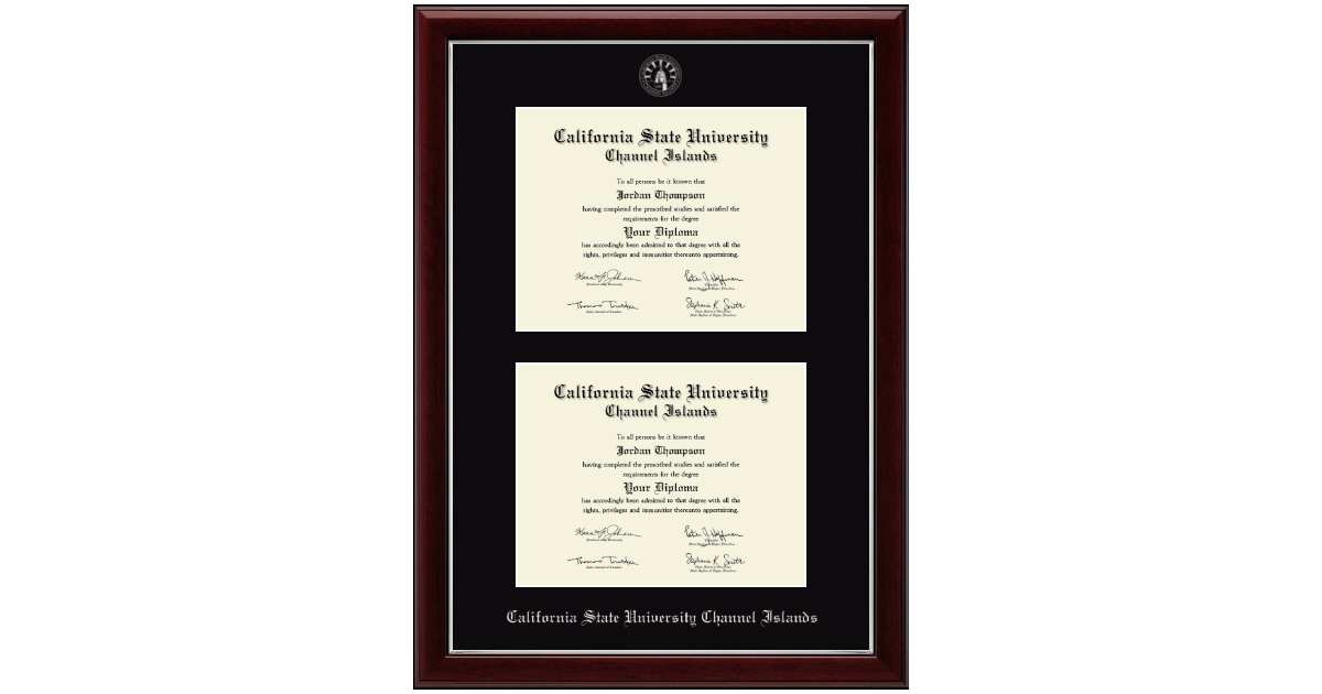 Double Diploma Frame in Gallery Silver California State University ...