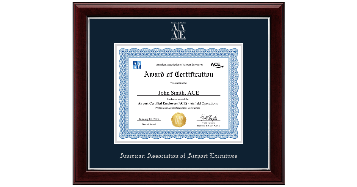AAAE Silver Embossed Certificate Frame - Navy and Silver Matting