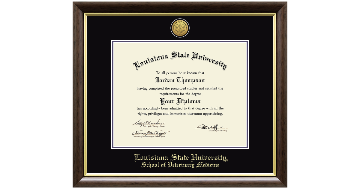 Gold Engraved Medallion Diploma Frame in Hampshire Louisiana State ...