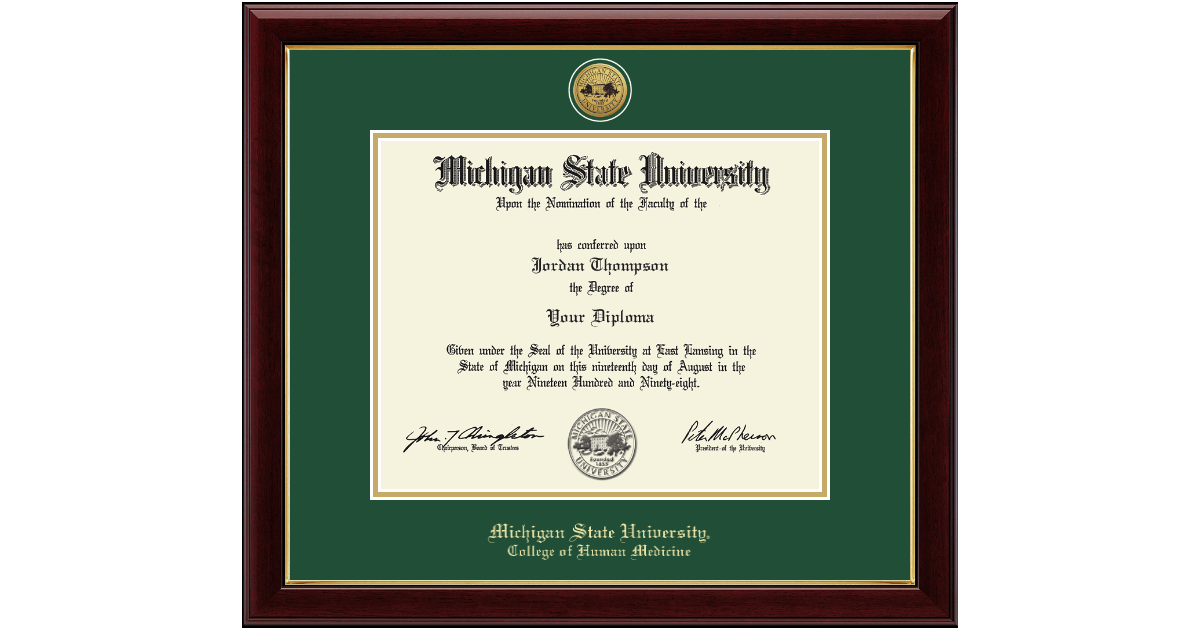 Gold Engraved Medallion Diploma Frame in Gallery Michigan State ...