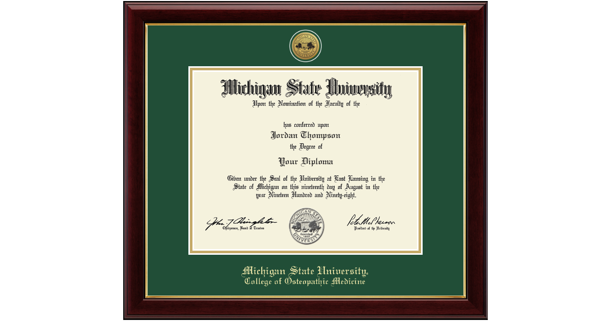 Gold Engraved Medallion Diploma Frame in Gallery Michigan State ...