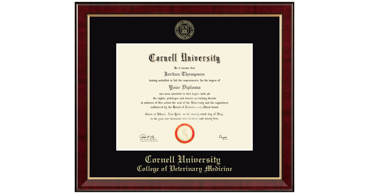 Gold Embossed Diploma Frame in Murano Cornell University - Item #289170 ...