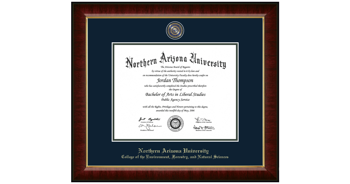 Masterpiece Medallion Diploma Frame in Murano Northern Arizona ...