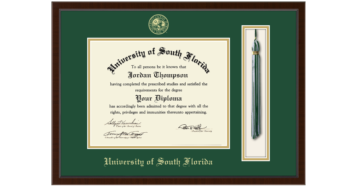 University Of South Florida Diploma Received Business Analytics