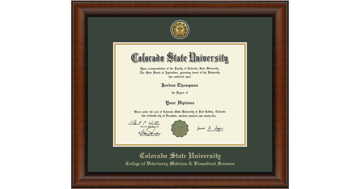 Gold Engraved Medallion Diploma Frame in Austin Colorado State ...