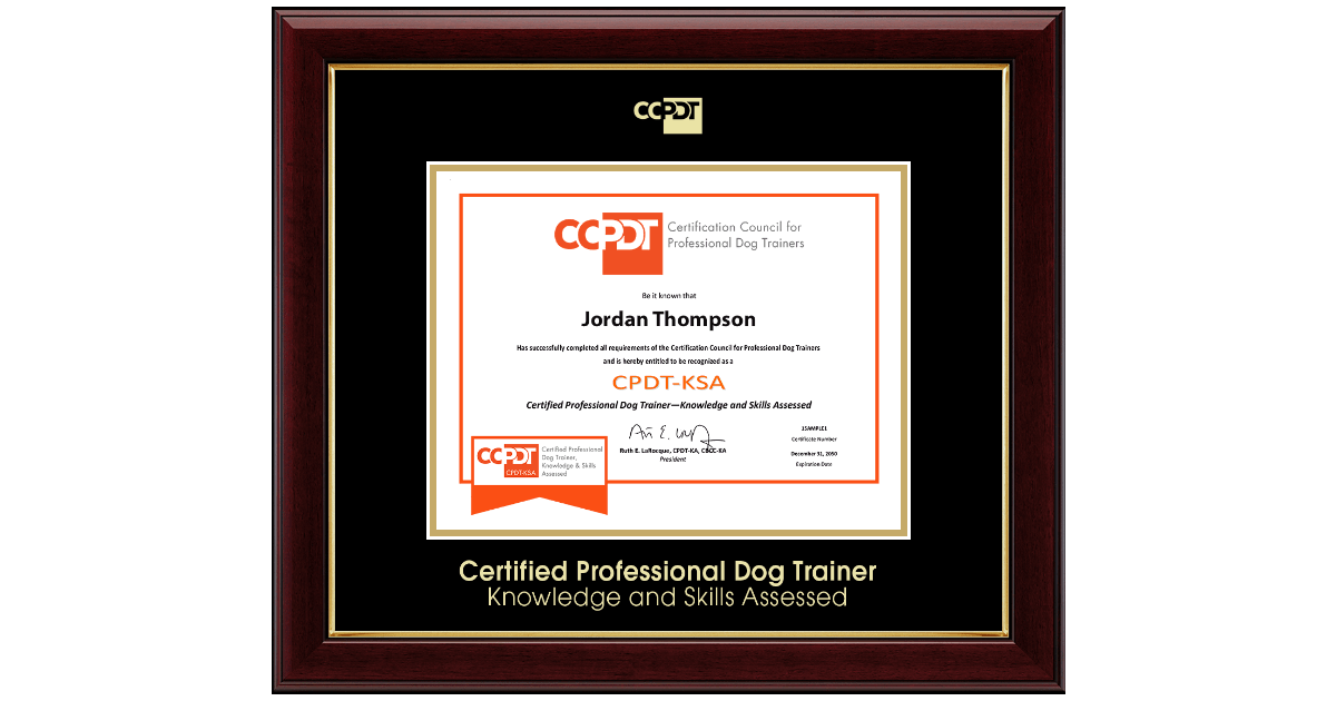 CCPDT Gold Embossed CPDT-KSA Certificate Frame - Black and Gold Matting