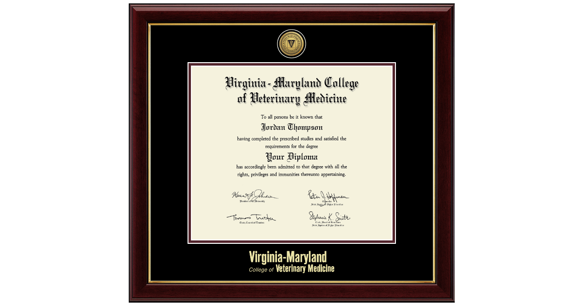 Gold Engraved Medallion Diploma Frame in Gallery Virginia Tech - Item ...