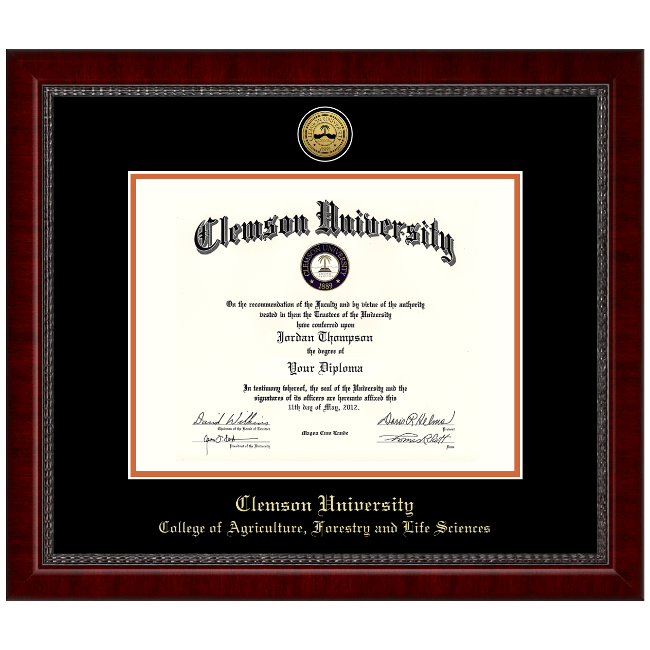 Gold Engraved Medallion Diploma Frame in Sutton Clemson University ...