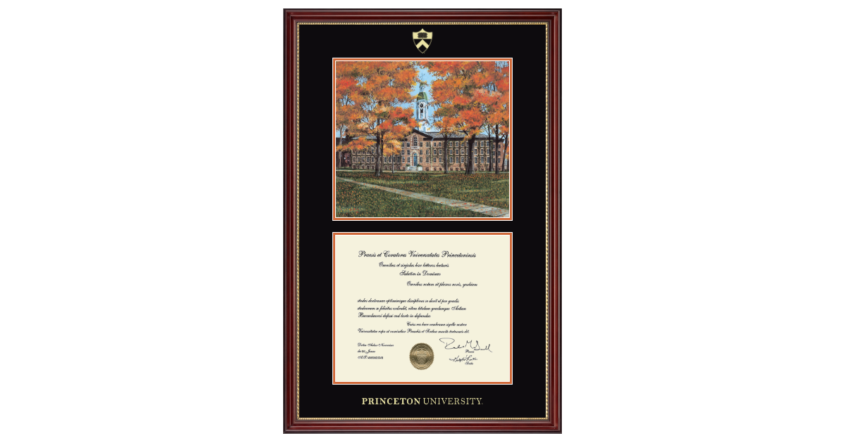 Masters- Campus Scene Diploma Frame in Kensington Gold Princeton ...