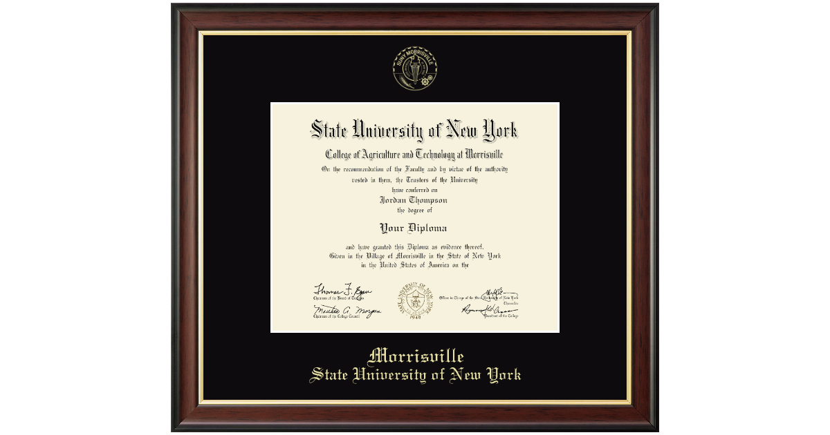 Gold Embossed Diploma Frame in Studio Gold SUNY Morrisville - Item #408087