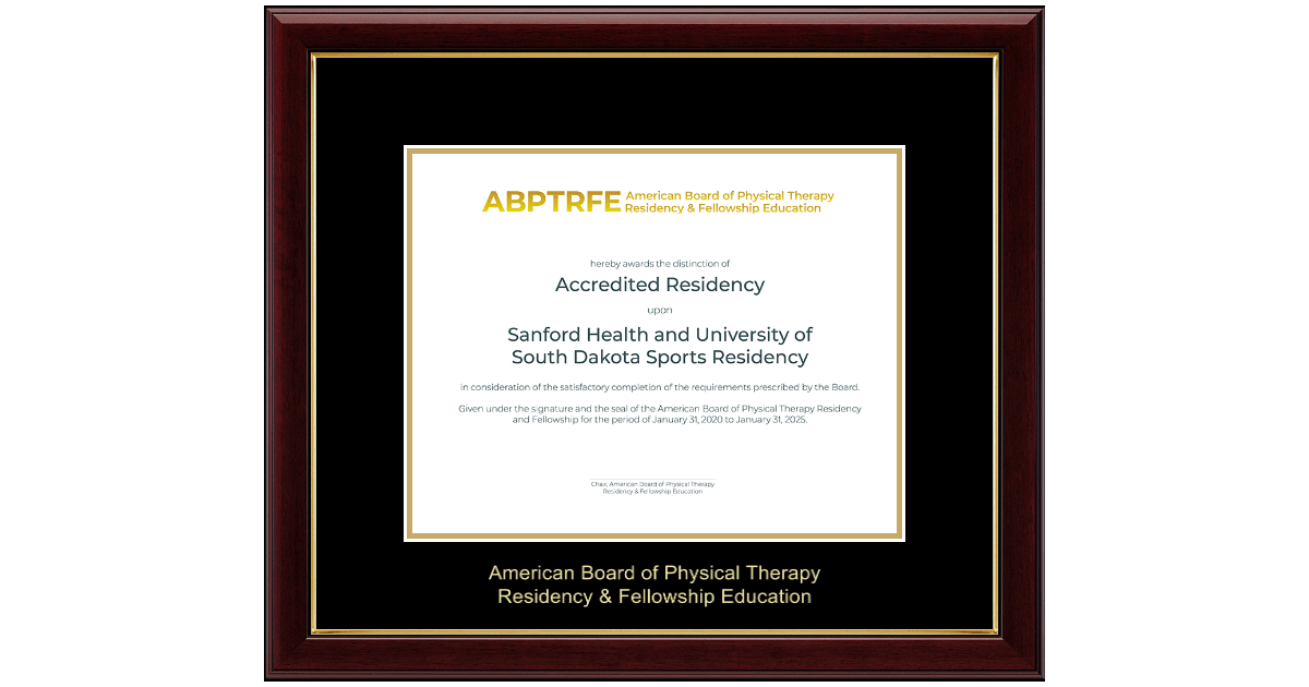 APTA Gold Embossed Certificate Frame - Black and Gold Matting