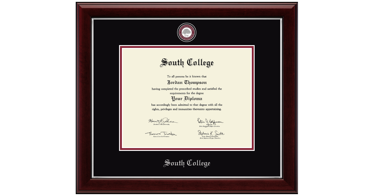 Masterpiece Medallion Diploma Frame in Gallery Silver South College ...