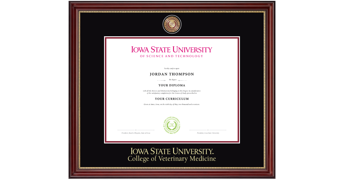 PhD- Masterpiece Medallion Diploma Frame in Kensington Gold Iowa State ...