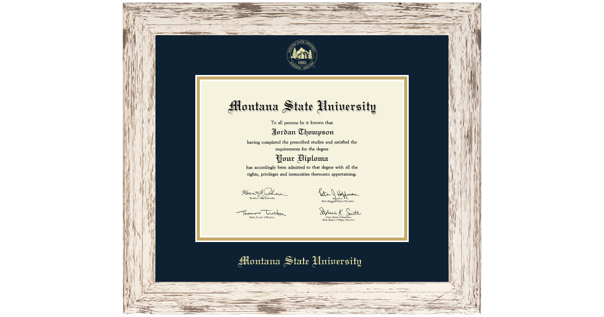 Gold Embossed Diploma Frame in Barnwood White Montana State University ...