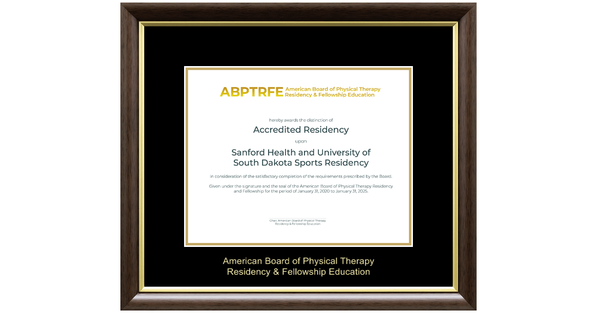 APTA Gold Embossed Certificate Frame - Black and Gold Matting