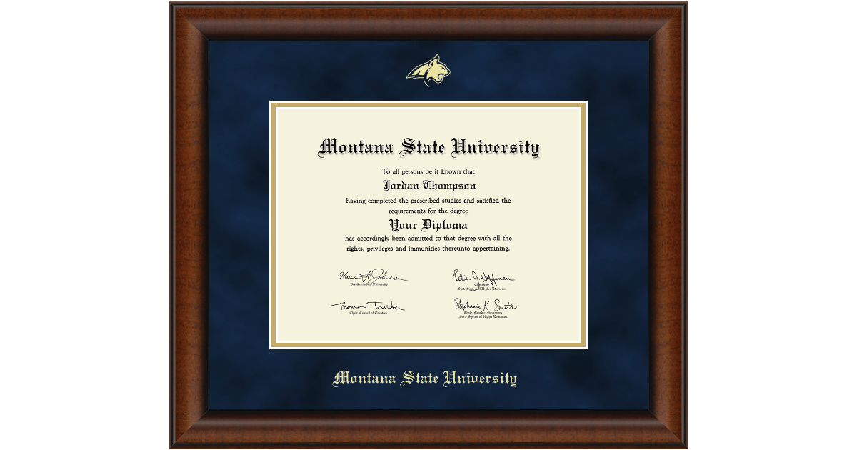 Gold Embossed Diploma Frame in Austin Montana State University Bozeman ...