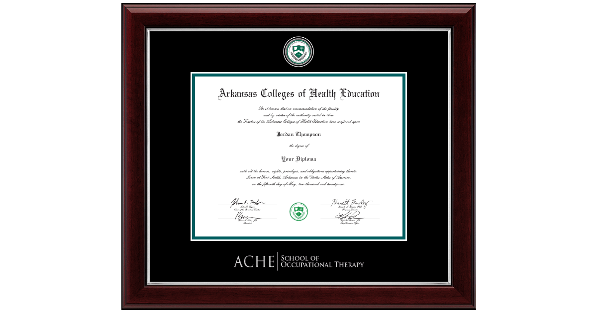 Occupational Therapy- Masterpiece Diploma Frame in Gallery Silver ...