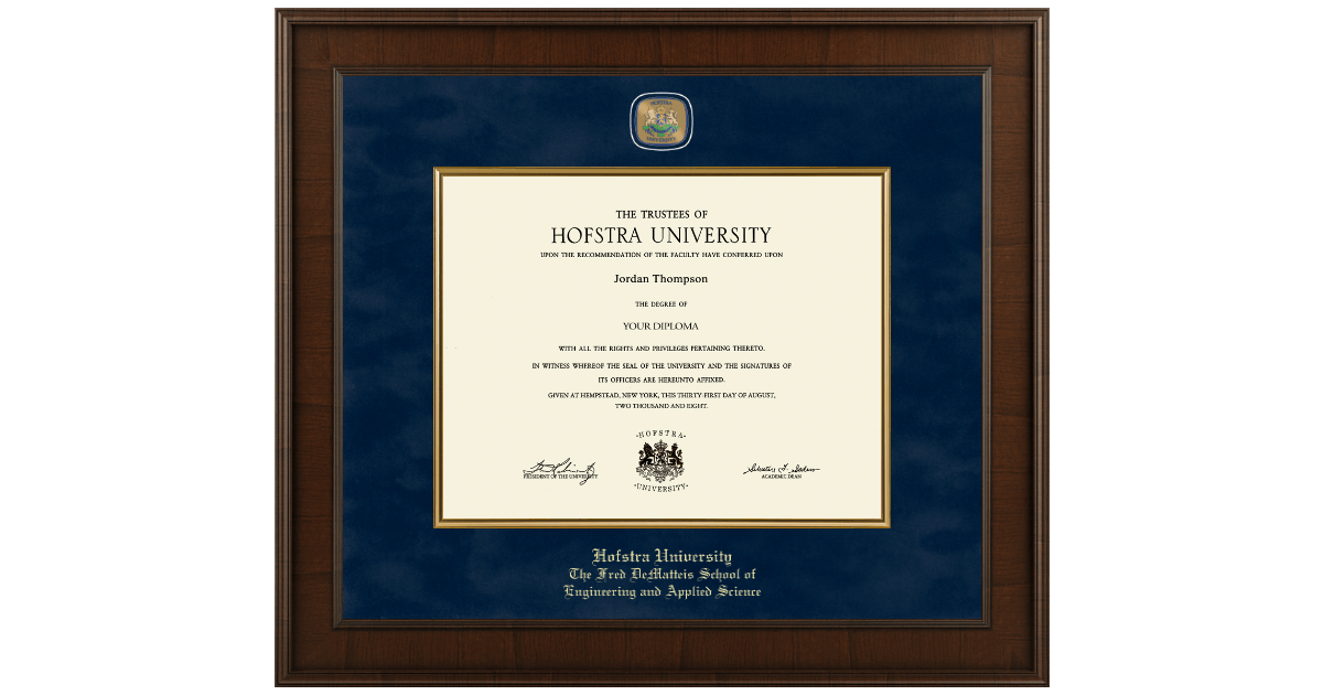 Hofstra The Fred DeMatteis School of Engineering and Applied Science ...